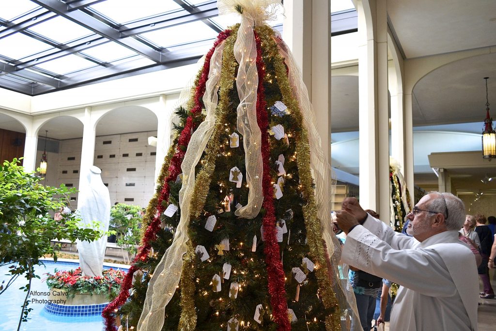 Memorial Christmas Tree Lighting Ceremony - Catholic Cemeteries of the ...