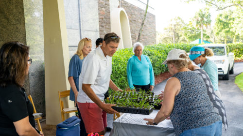 Catholic Cemeteries of the Archdiocese of Miami - Catholic Cemeteries ...