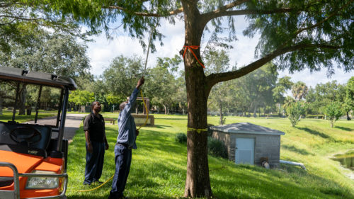 Catholic Cemeteries of the Archdiocese of Miami - Catholic Cemeteries ...