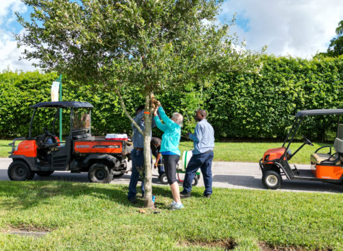 Catholic Cemeteries of the Archdiocese of Miami - Catholic Cemeteries ...